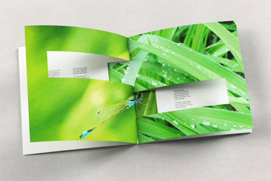 10 Beautiful Booklet Design Inspirations - DJ Designer Lab